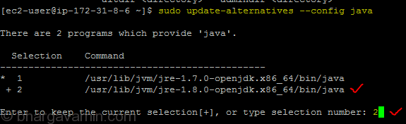 Setting Up Java Environment Variable On Ec2 Easy Cloud